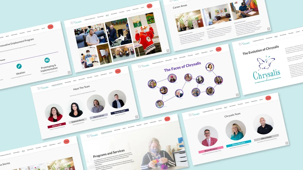 Chrysalis | Case Study — Media Shop Collective
