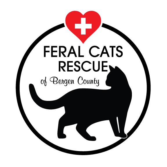 Our Story — Feral Cats of Bergen County