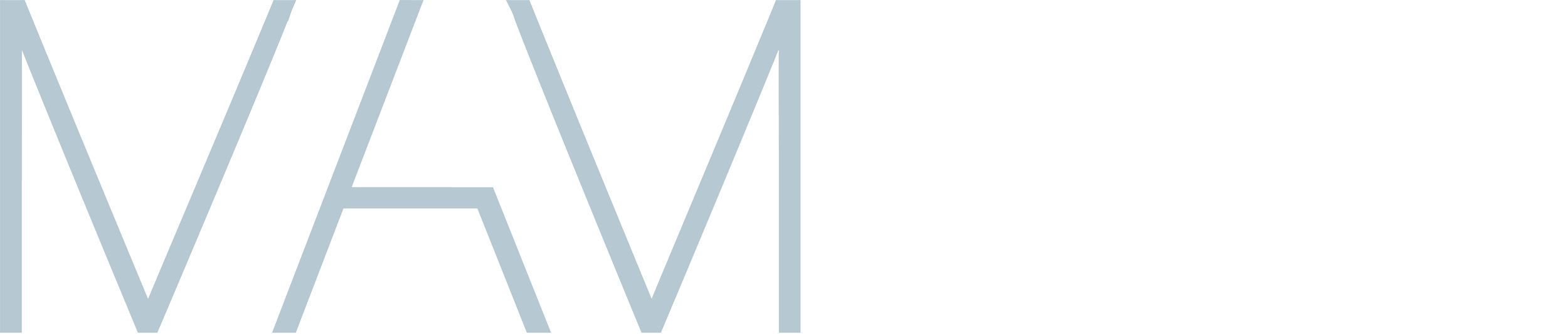 Mountain Asset Management