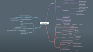 OODA Mind Maps for Better Decisions — Mind Map Nation
