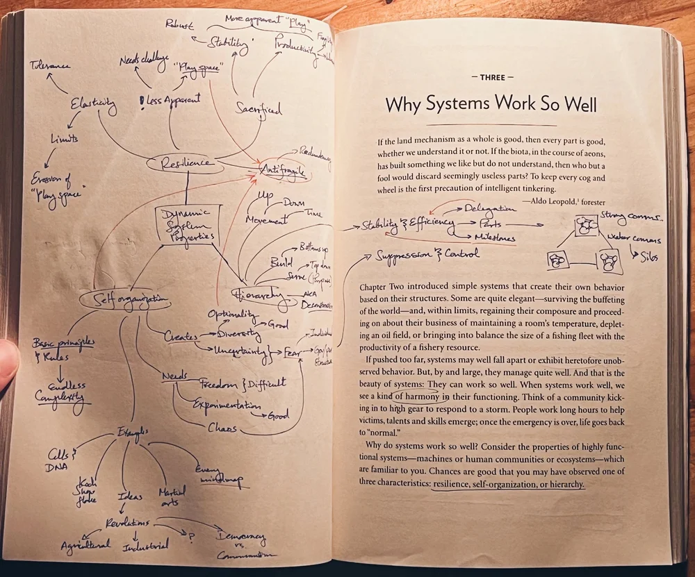 The Art of Selective Learning — Mind Map Nation