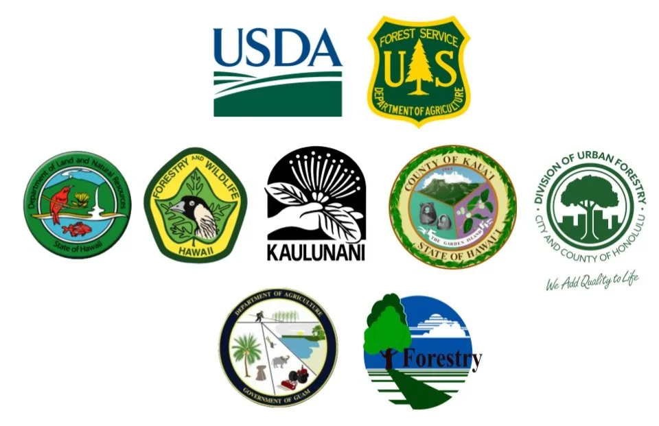 Citizen Foresters — Smart Trees Pacific