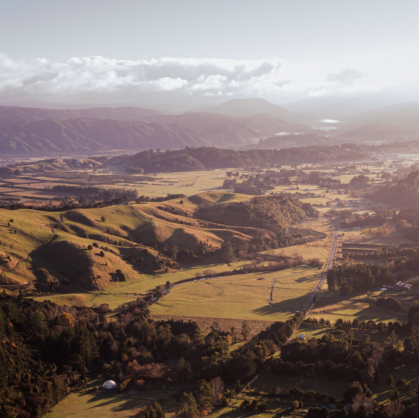 About | Biome Trust