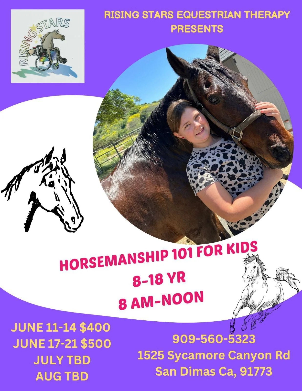 Rising Stars of Equestrian Therapy