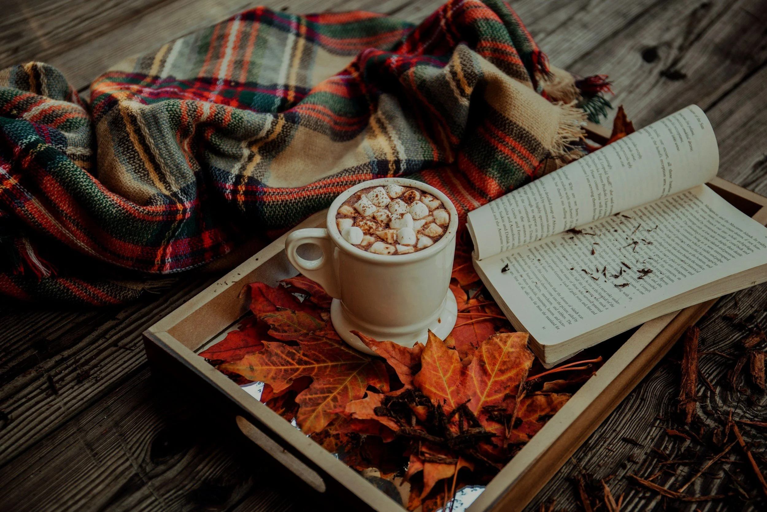 Scholar Launch - Research Programs for Middle and High School Students