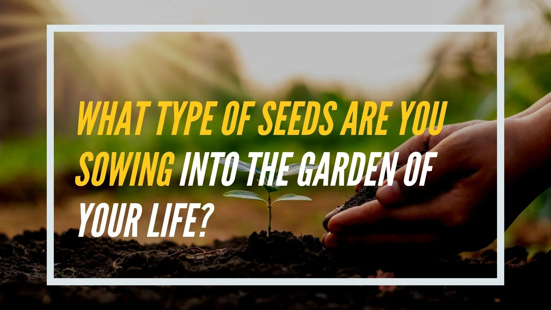 4 Transformational Success Lessons To Learn From Seeds — Kristen Greaves