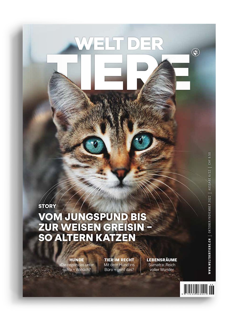 Tiermagazine Abonnieren — Tierisch gesund