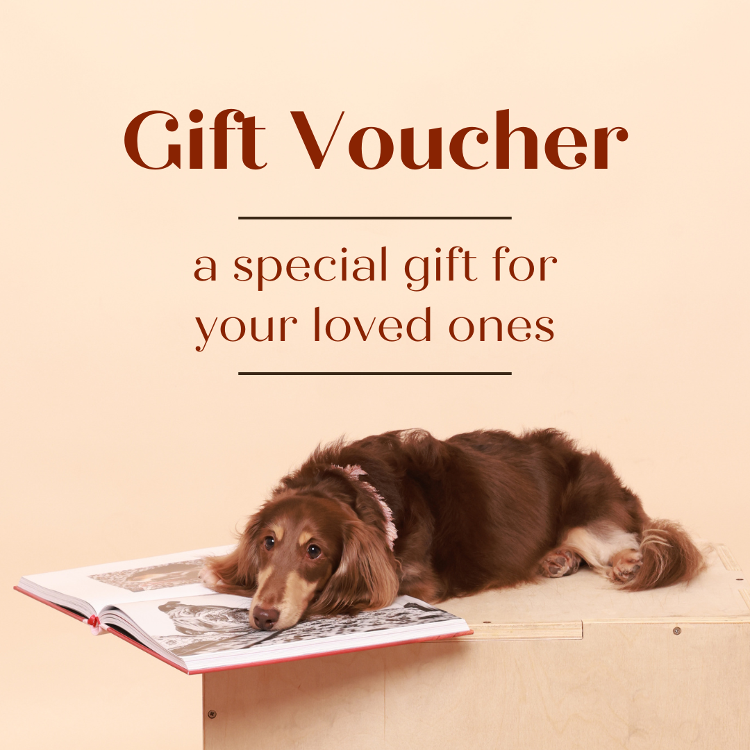 Pet-Friendly Self Photo Studio Singapore | Hoshi Studios