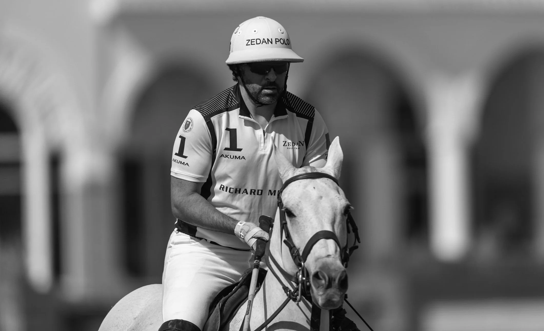 Welcome to the world of Zedan Polo