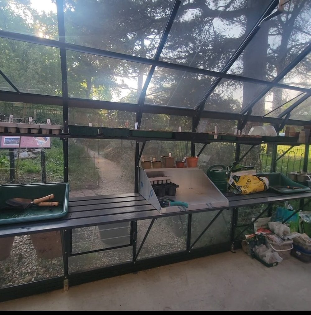 Art Re-Leaf - our new summer workshops — Museum of Homelessness