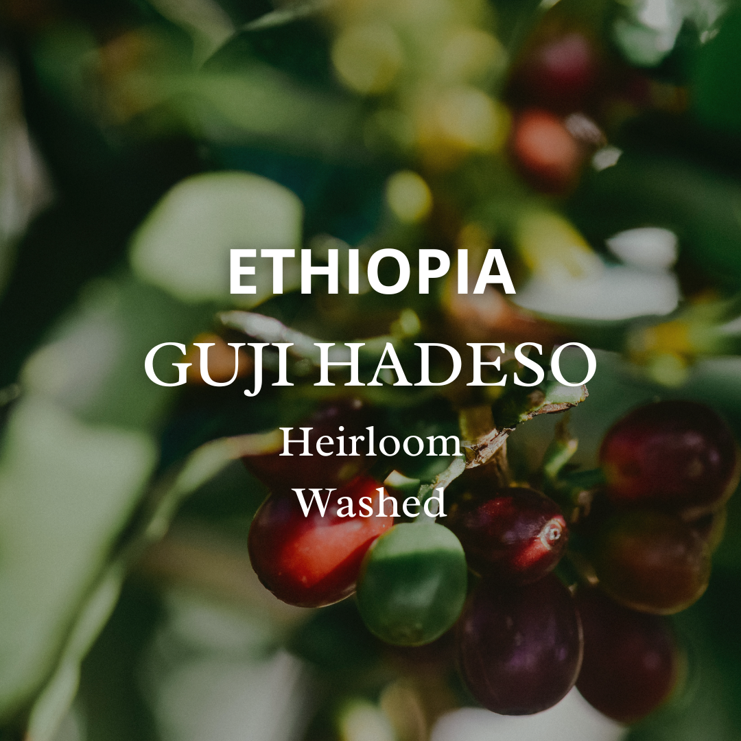 Personal Best Coffee Roasters