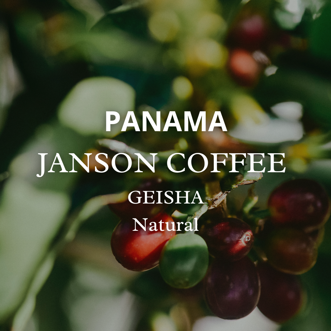 Shop — Personal Best Coffee Roasters