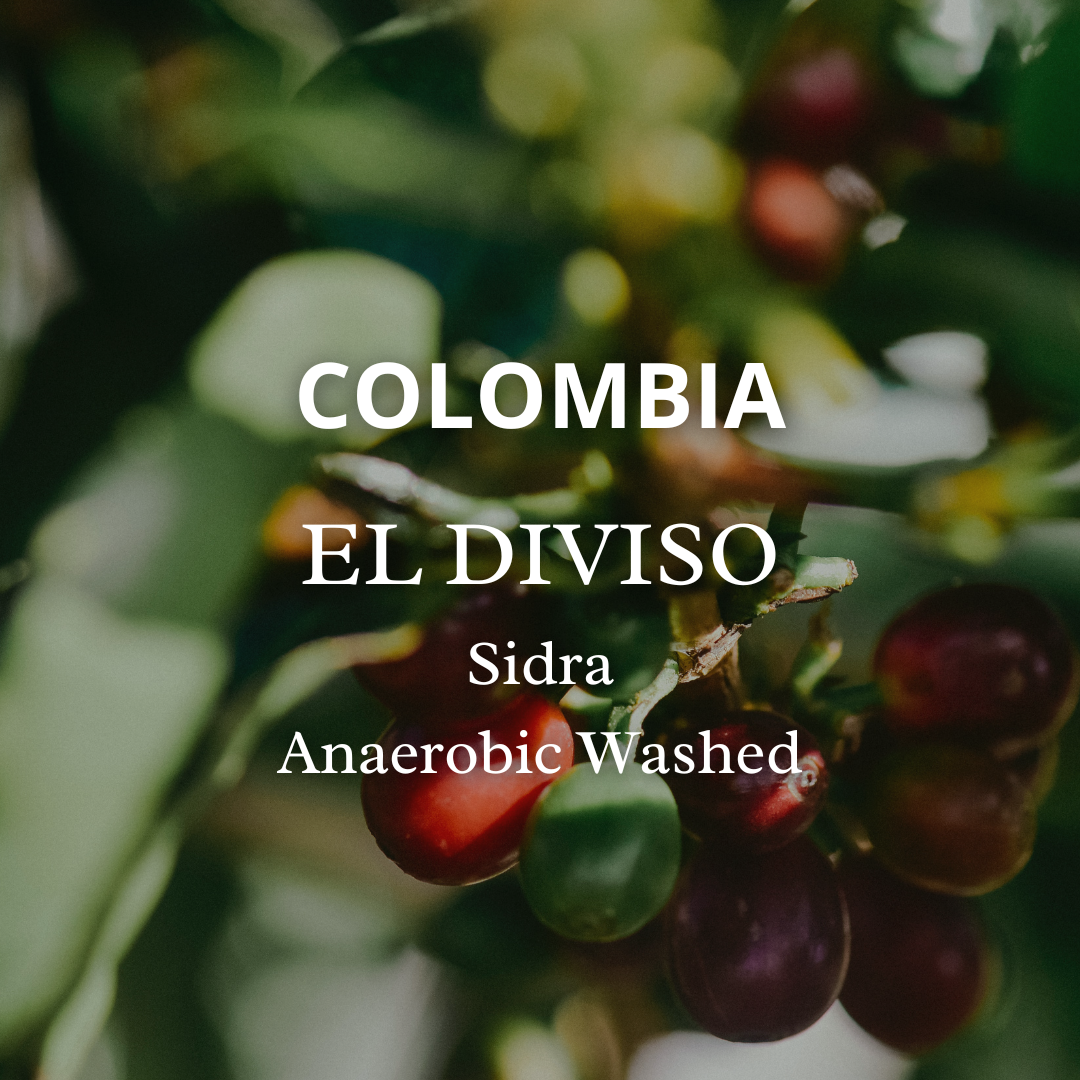 Shop — Personal Best Coffee Roasters