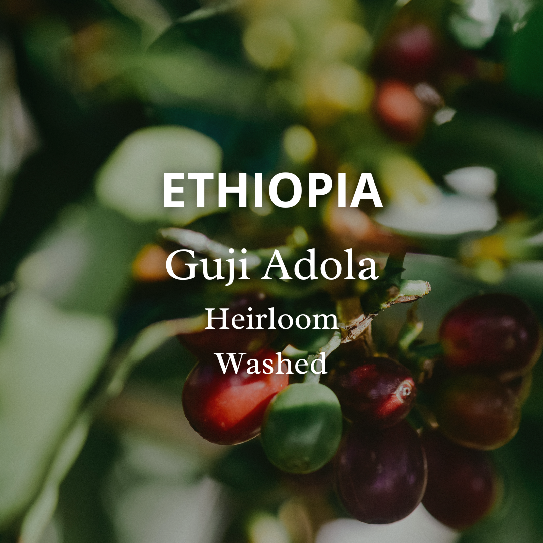 Shop — Personal Best Coffee Roasters