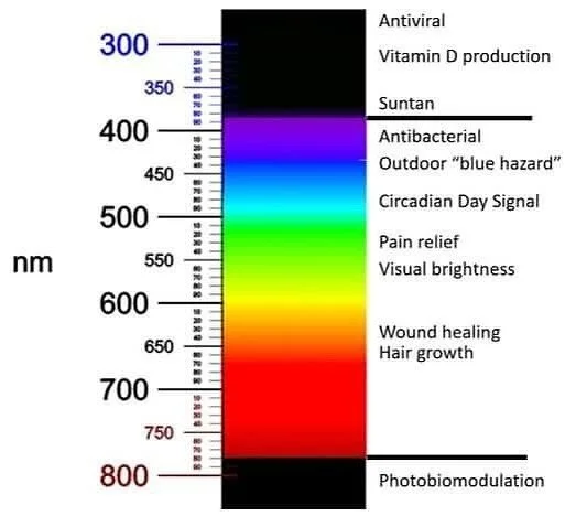 Store — Quantum Red