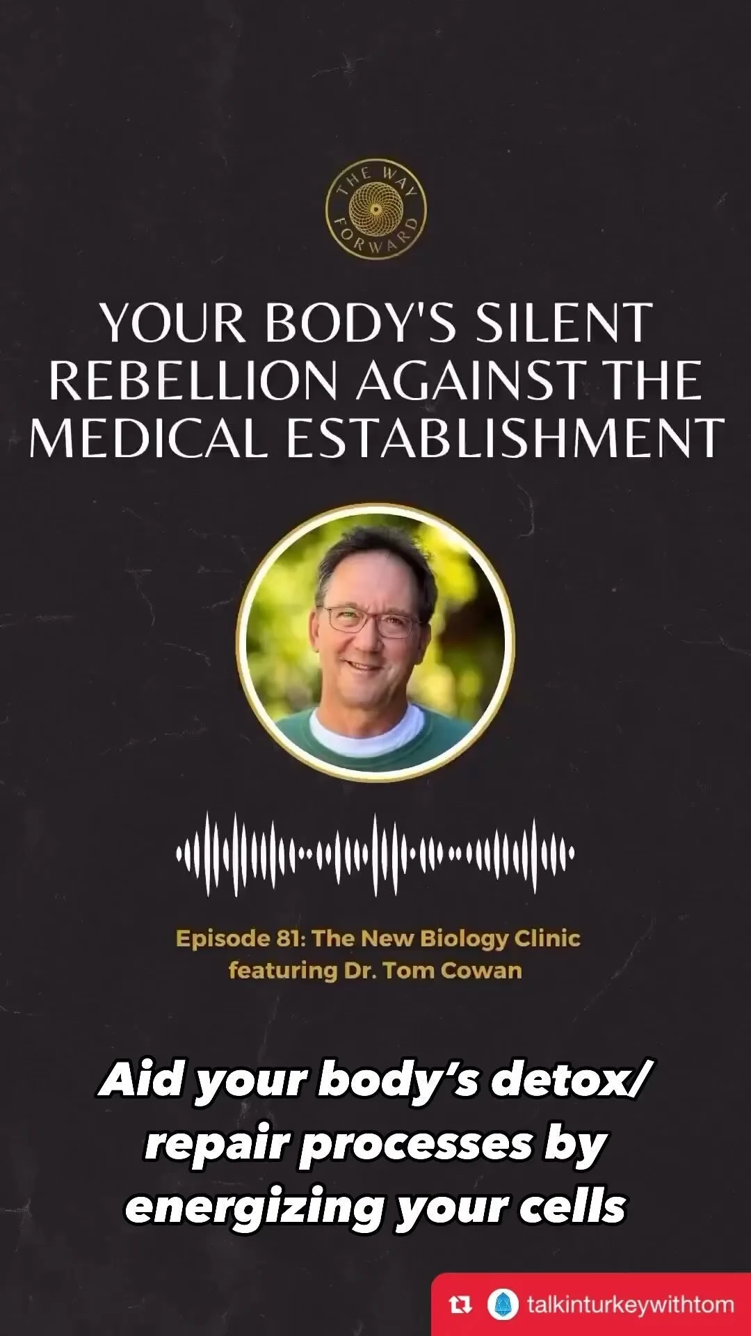 Contact — Quantum Red