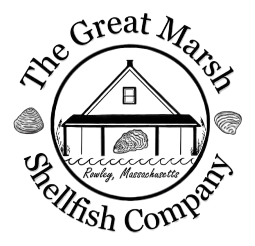 Oysters — The Great Marsh Shellfish Co