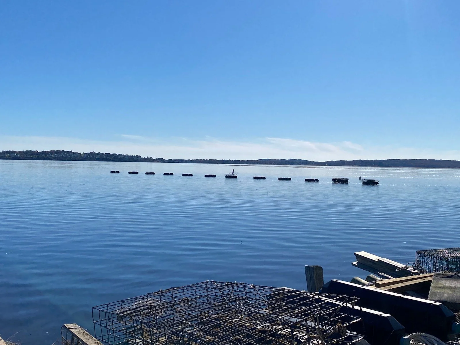 General 2 — The Great Marsh Shellfish Co.