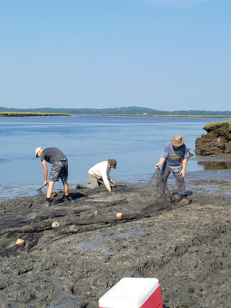 General 2 — The Great Marsh Shellfish Co