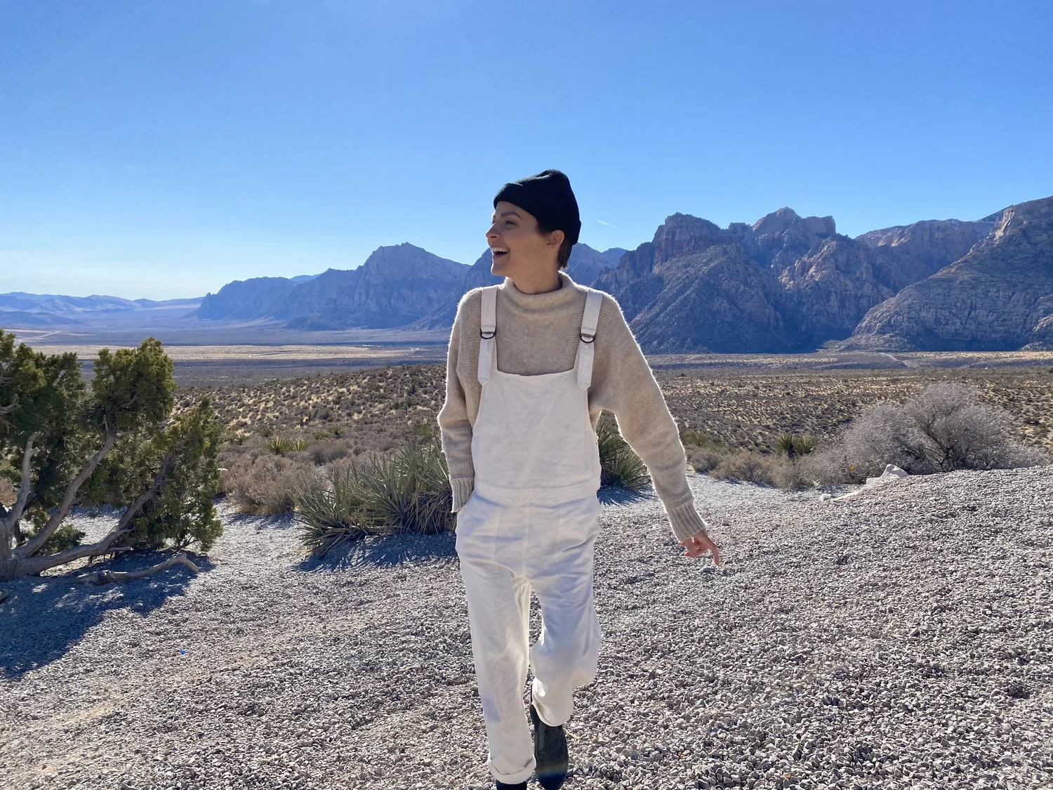 About 3 — The Nightbirde Foundation