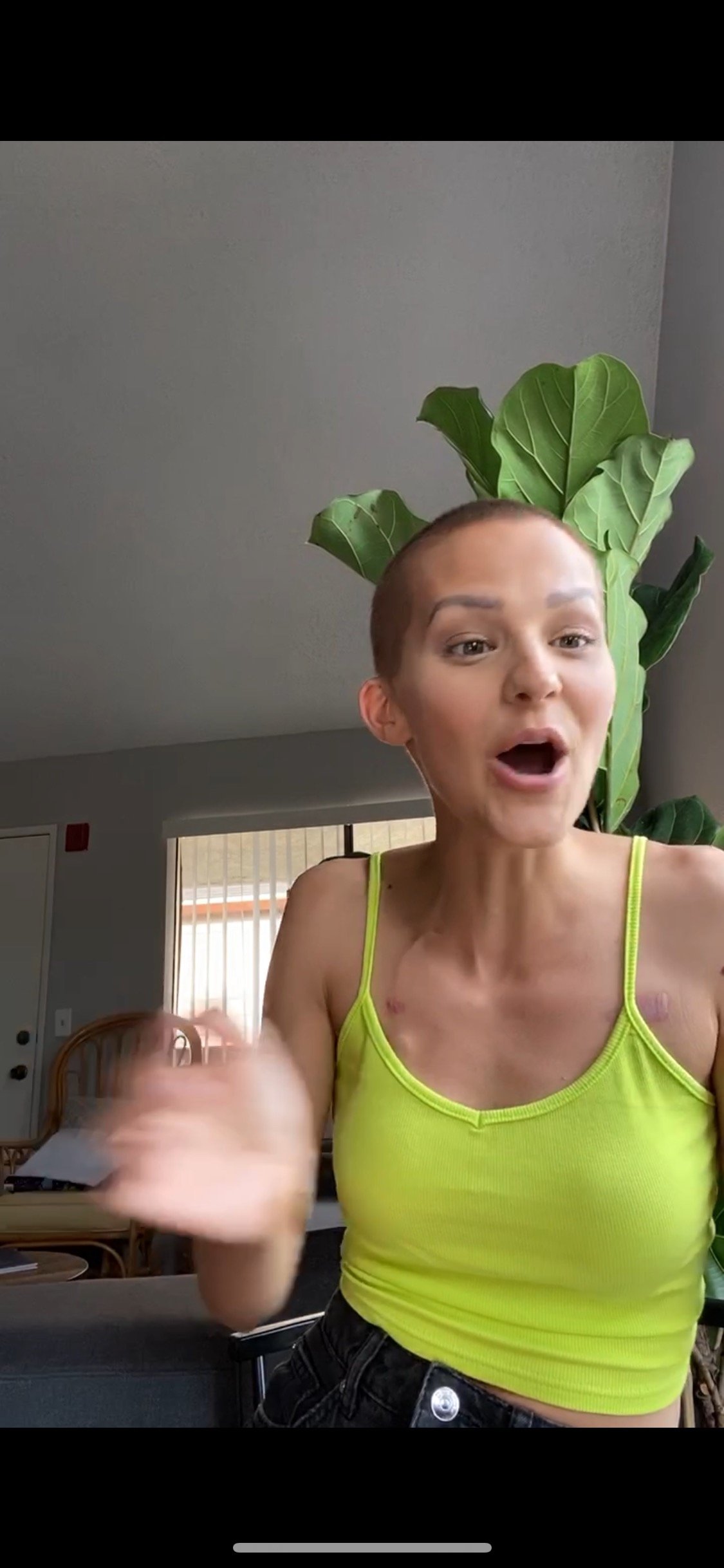 About 3 — The Nightbirde Foundation