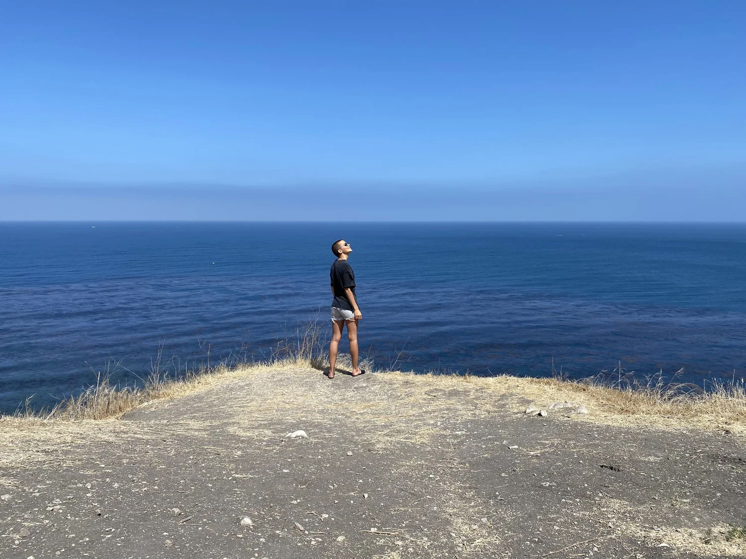 About 3 — The Nightbirde Foundation