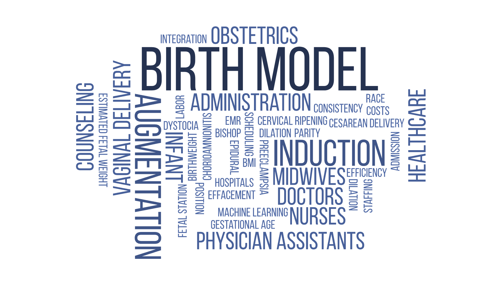 Birth Model - Modernizing Obstetrics