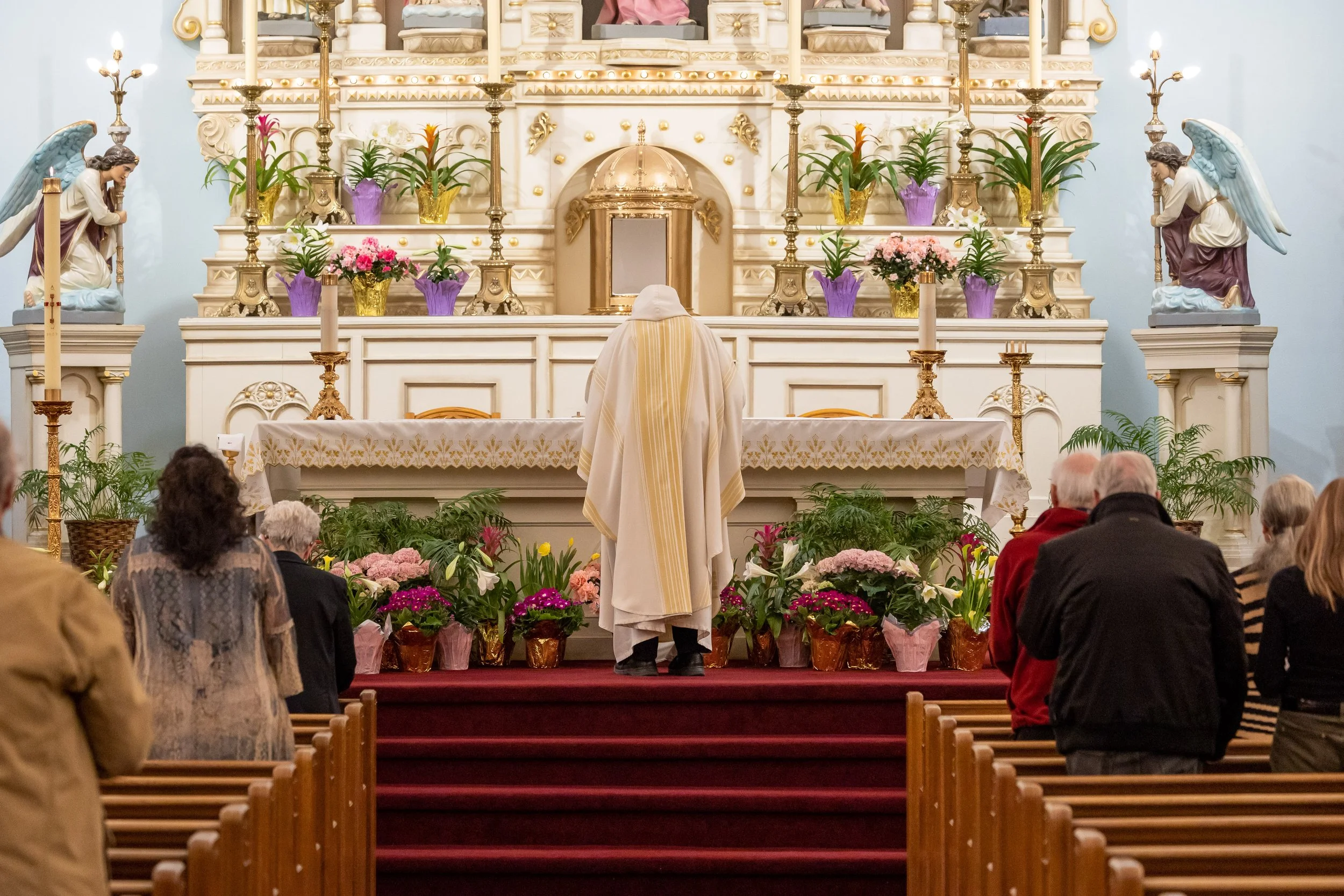 News — Our Lady of Mount Carmel
