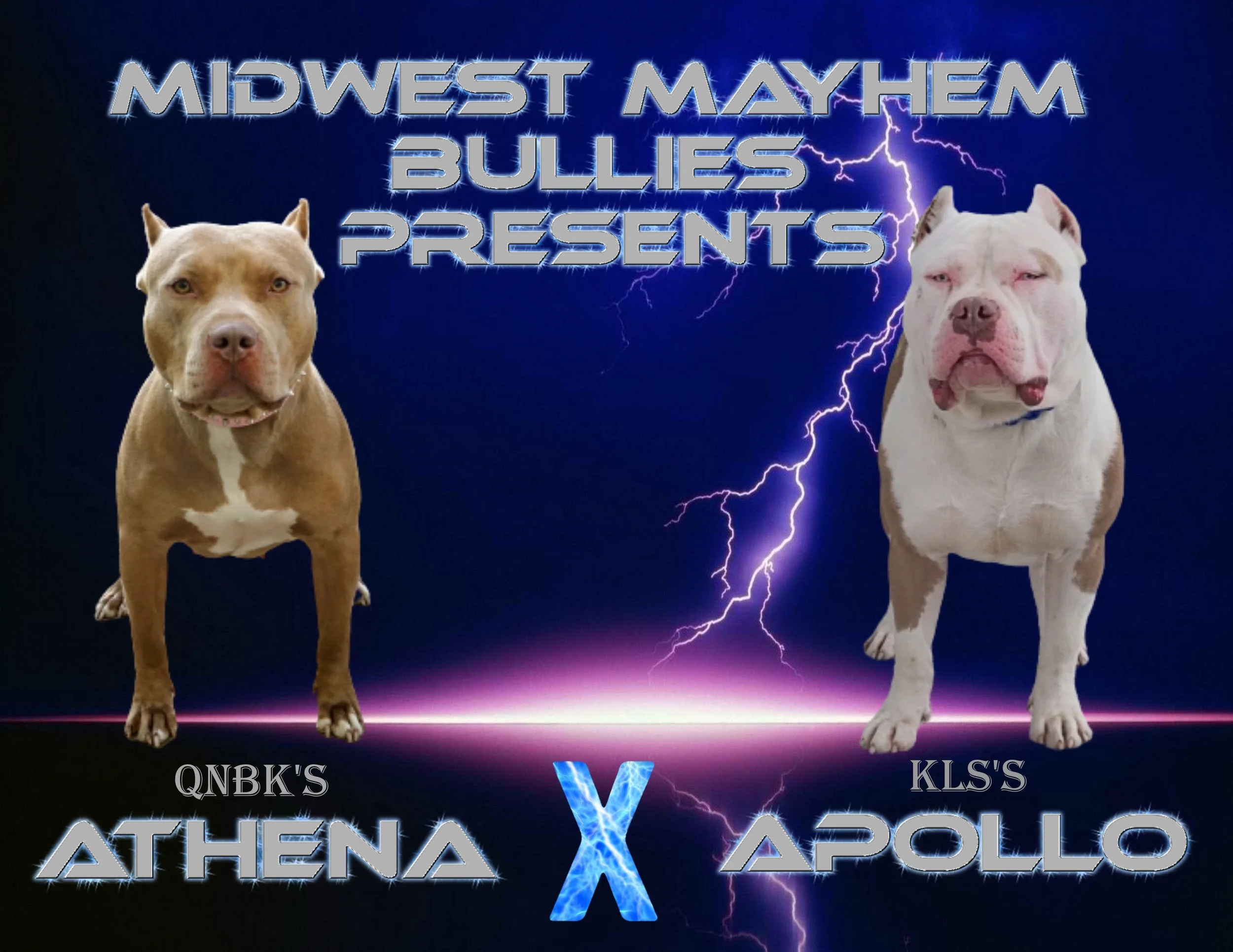 Midwest Mayhem Bullies