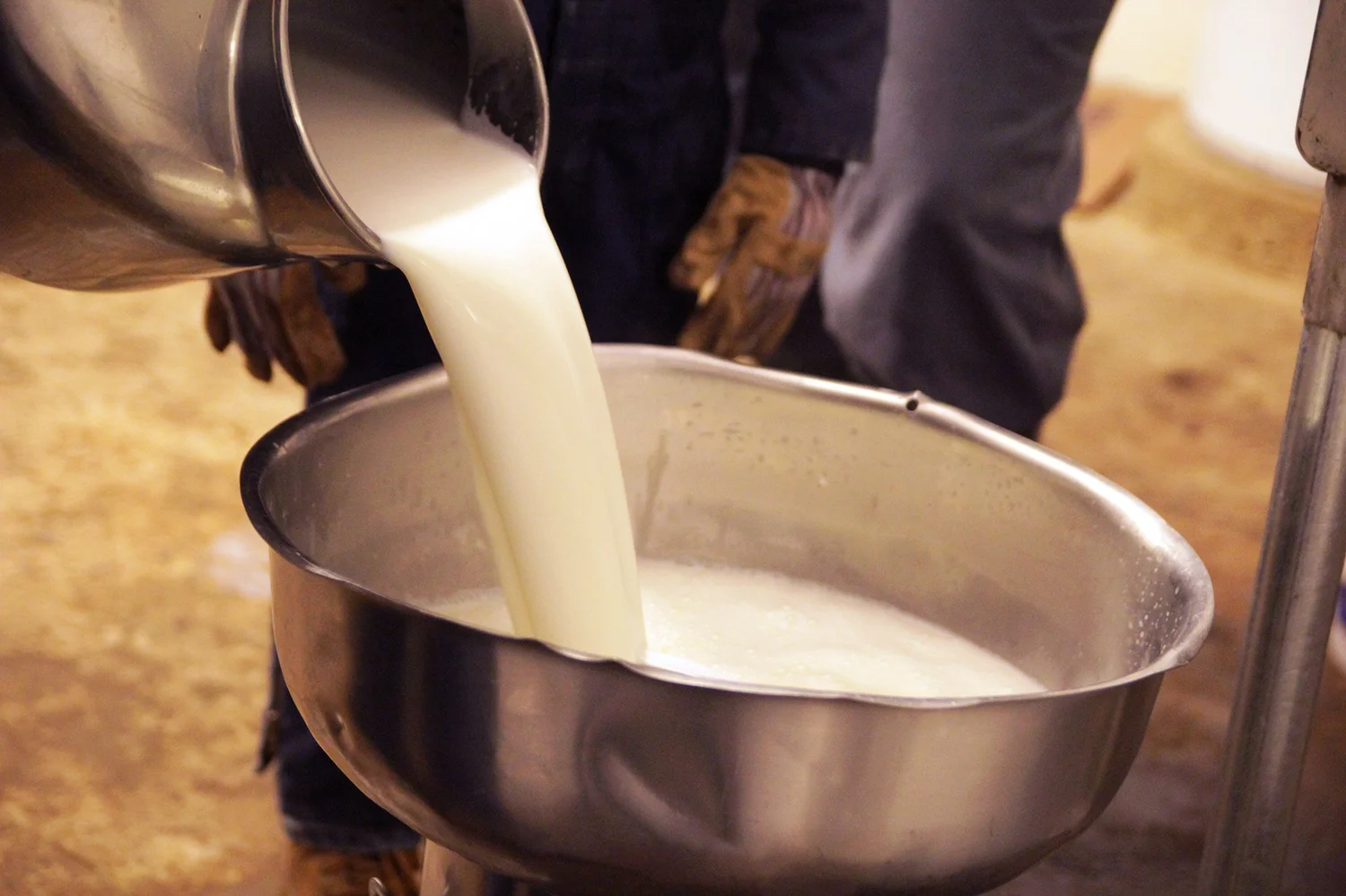 The History of Home Milk Delivery — New York Dairy