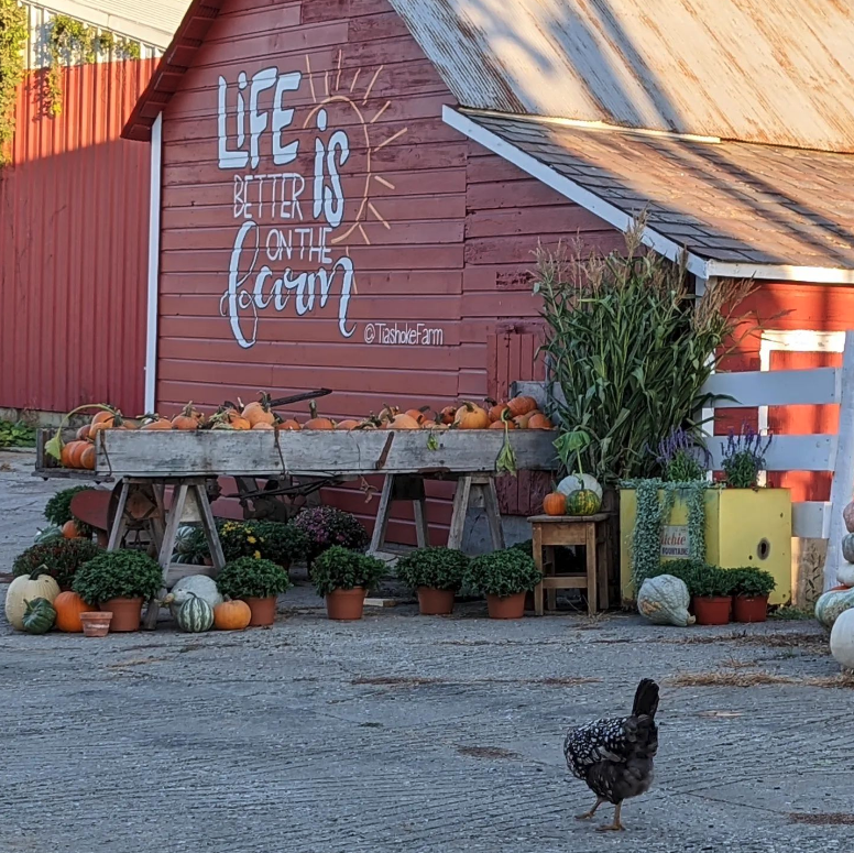 New York Dairy Farms with Unique Farm Stores You Can Visit — New York Dairy
