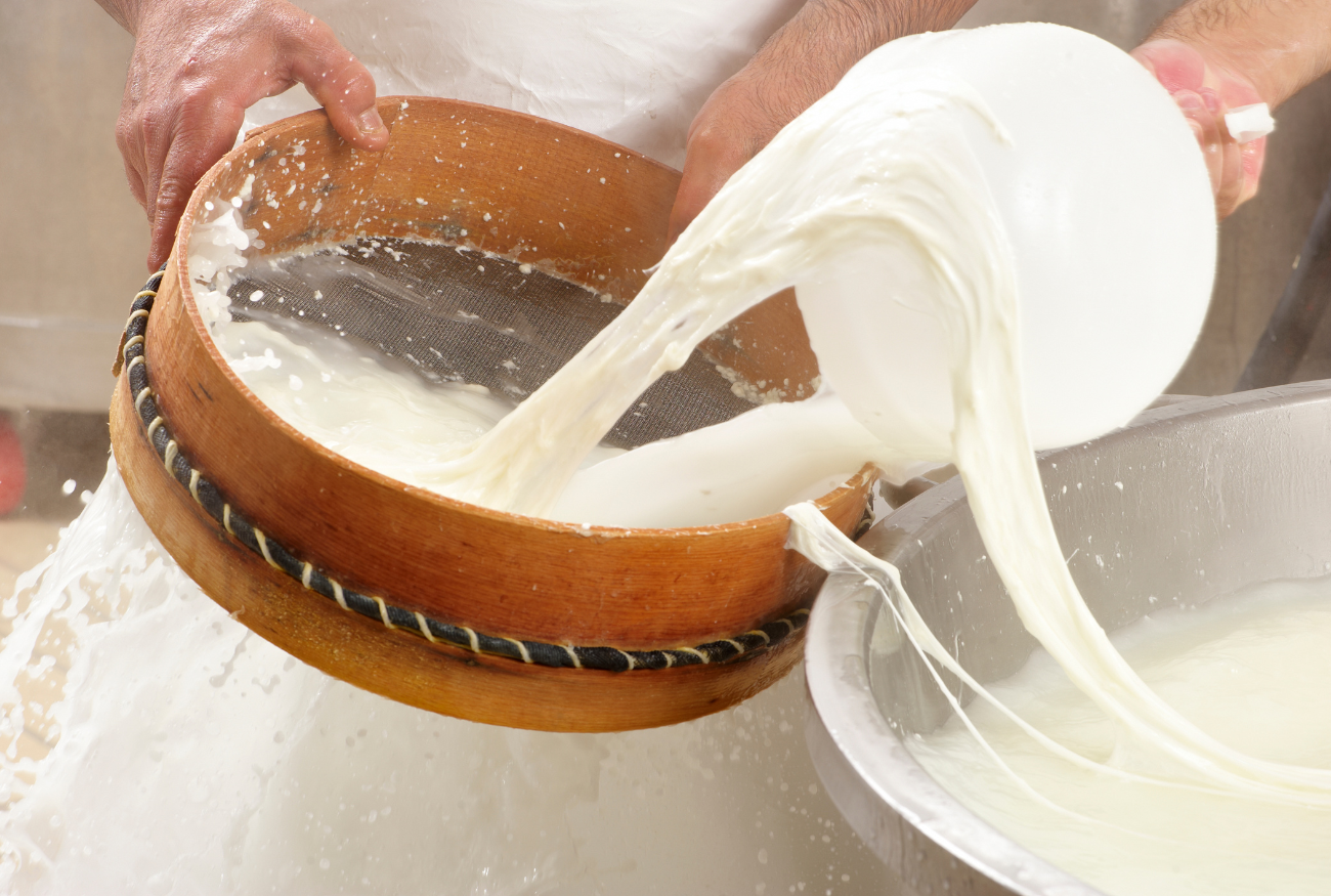 How Is Cheese Made? — New York Dairy