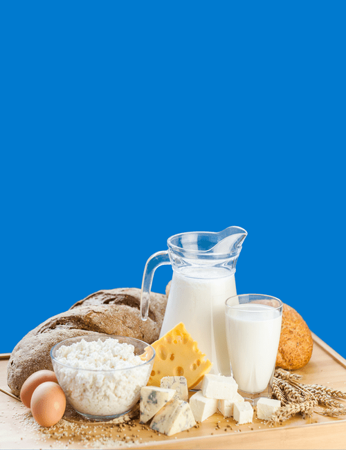 New York Dairy | Explore NY Dairy News, Stories, and More