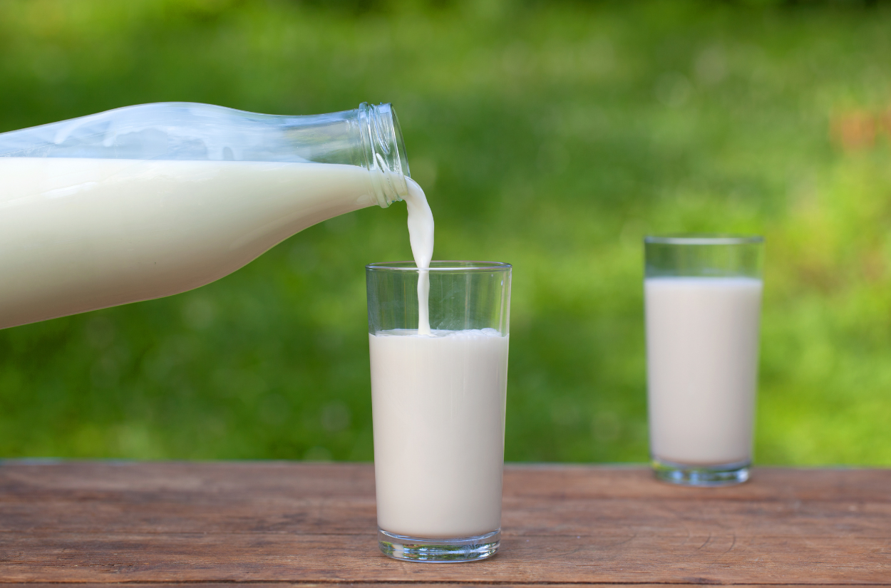Why the Whole Milk for Healthy Kids Act Matters for New York Dairy ...