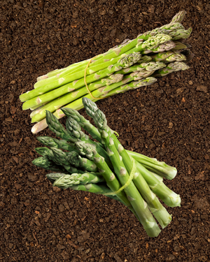 14 Foods In Season For Spring and How to Eat Them — Sustainable Baddie