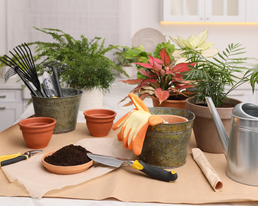 Summer Gardening 101: A Small-Space Gardening Guide — Sustainable Baddie