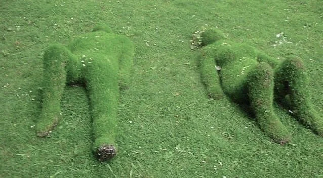 How To Touch Grass: Approaching Nature For The First Time — Sustainable ...