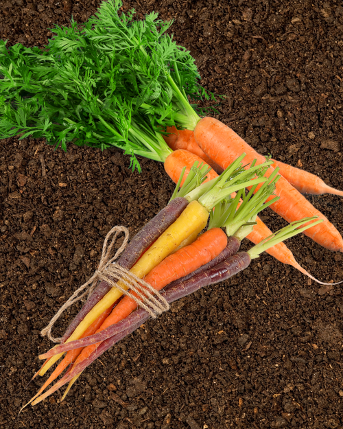 14 Foods In Season For Spring and How to Eat Them — Sustainable Baddie
