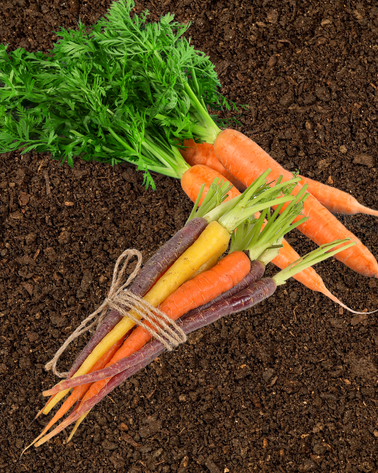 14 Foods In Season For Spring and How to Eat Them — Sustainable Baddie