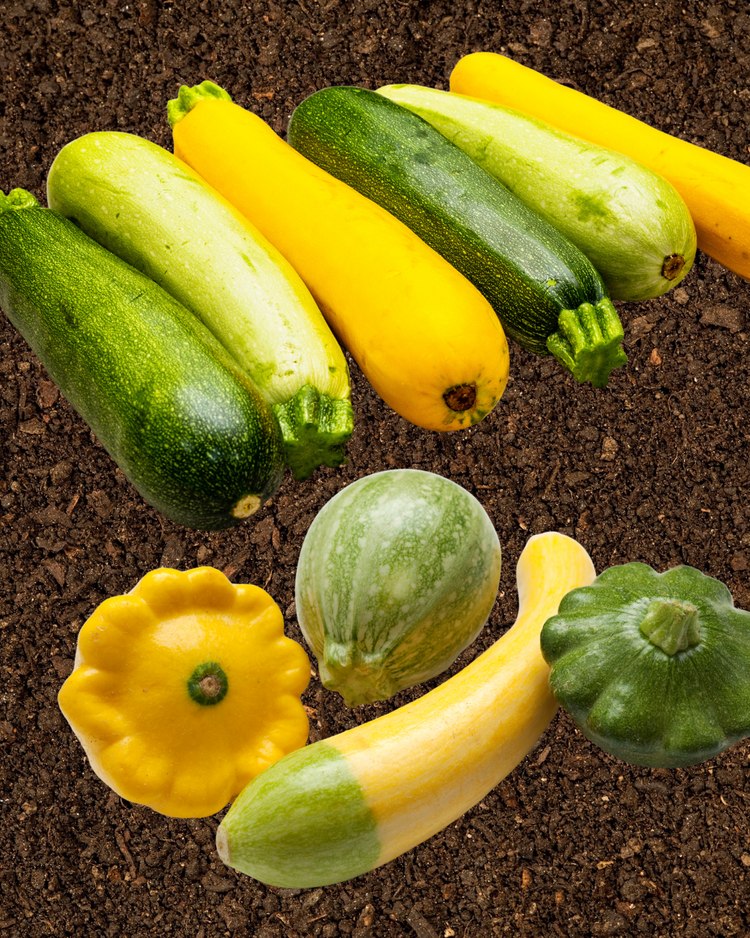 14 Foods In Season For Spring and How to Eat Them — Sustainable Baddie