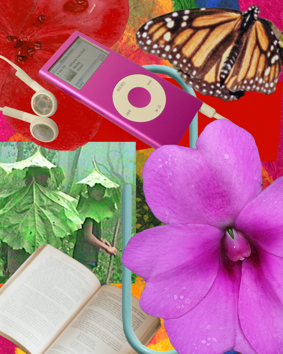 Multimedia Sustainability-Focused Resources to Better Your ...