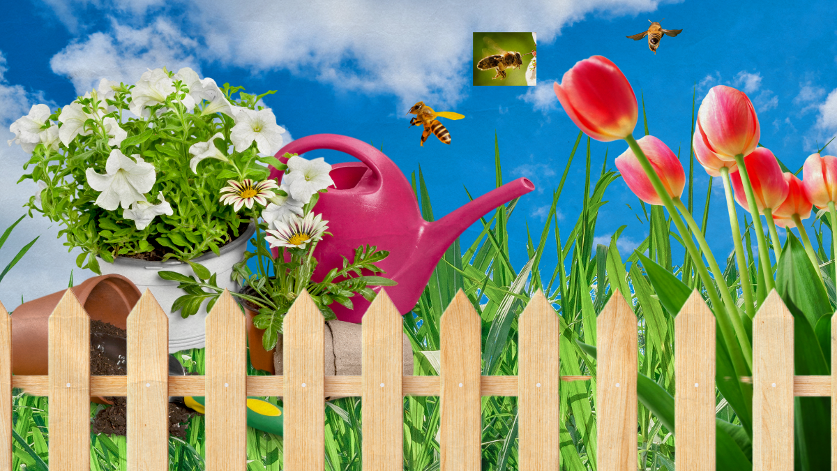 Community Garden Background