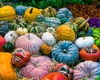 Pumpkin Positivity: A History of Pumpkins — Sustainable Baddie