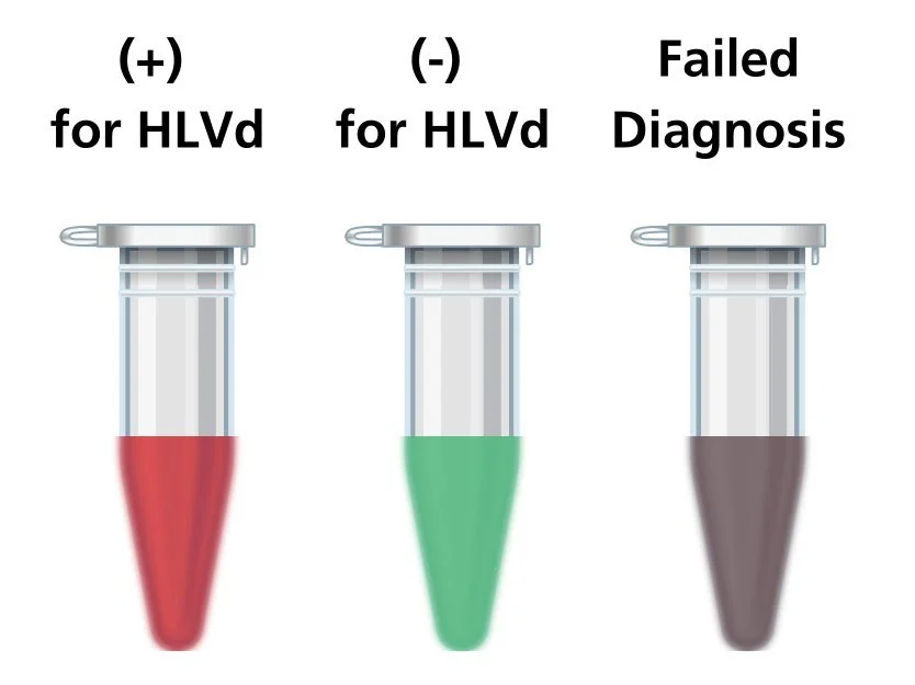TUMIGlow™ Diagnostic Device for HLVd Testing | TUMI Genomics — TUMI ...