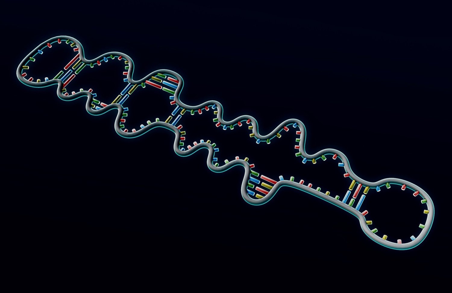 Hop Latent Viroid Testing | Order an HLVd Test Kit | TUMI Genomics