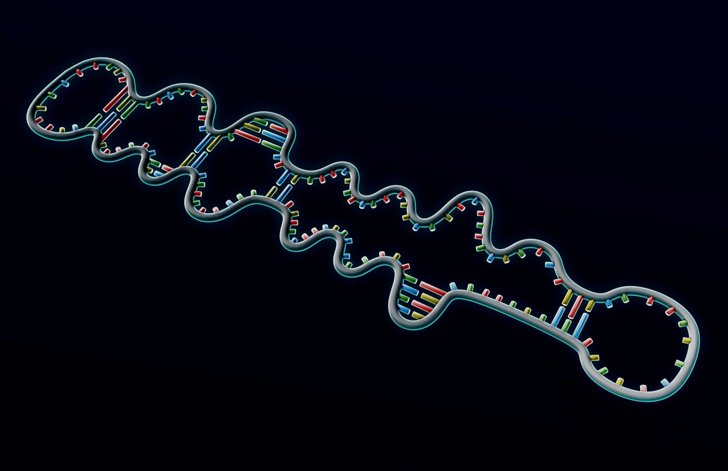 Hop Latent Viroid Testing | Order an HLVd Test Kit | TUMI Genomics