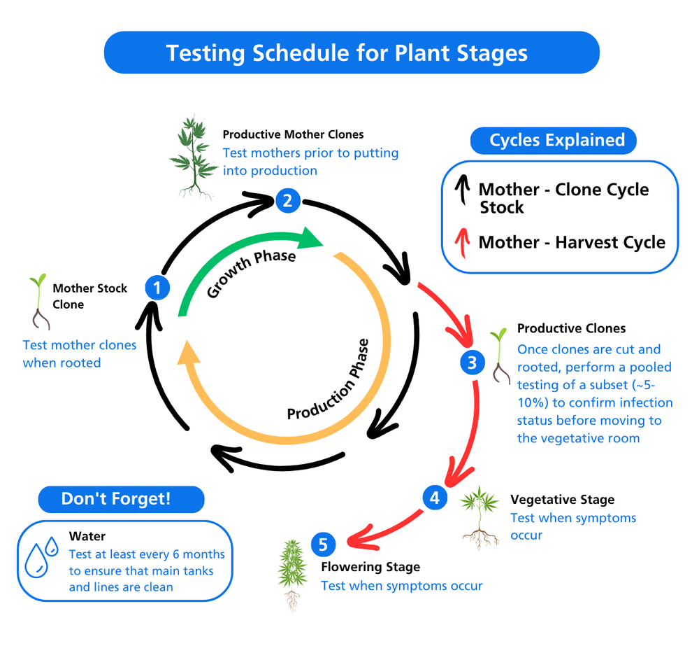 Everything you should know about Hop Latent Viroid — TUMI Genomics