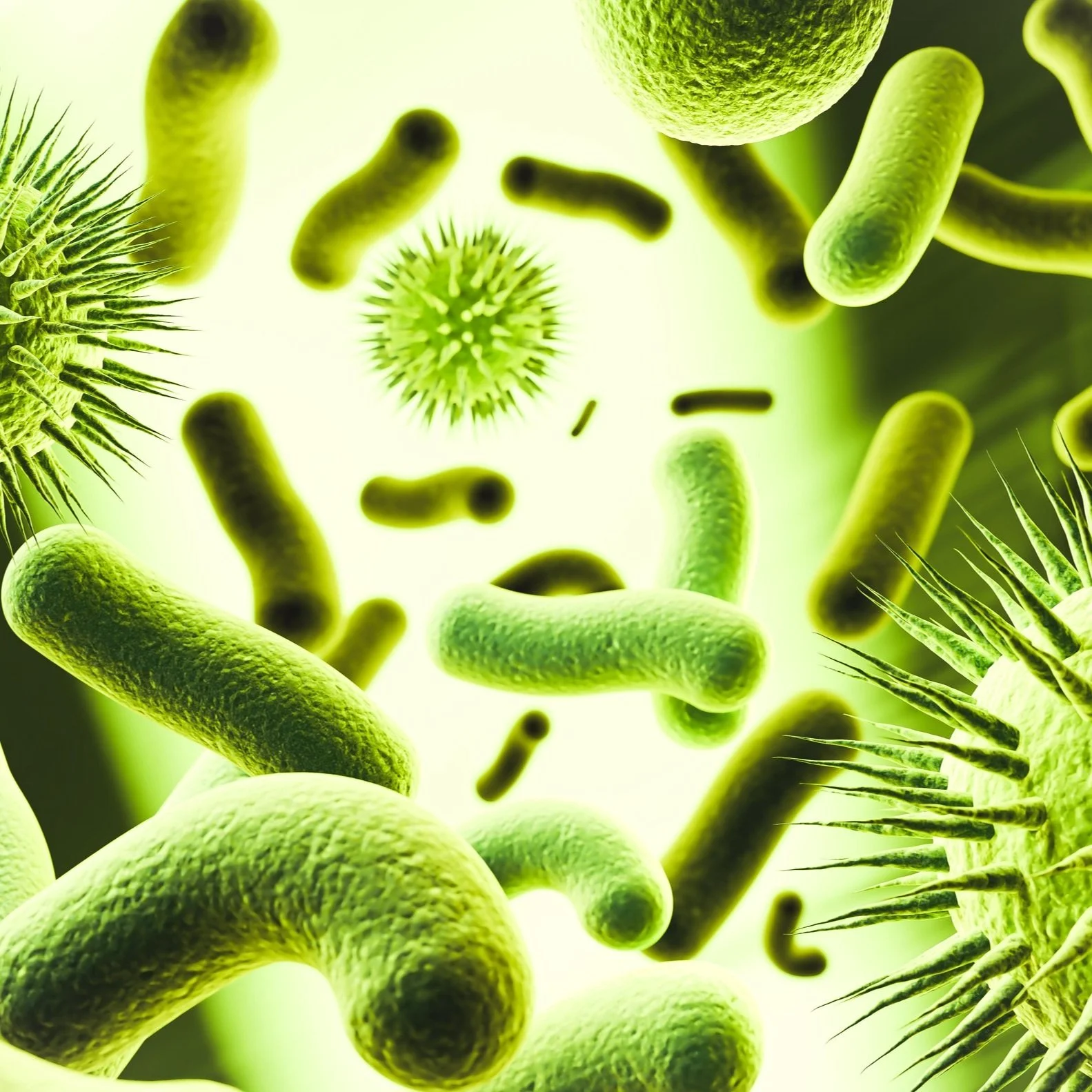 Cannabis Pathogen Diagnostics — TUMI Genomics