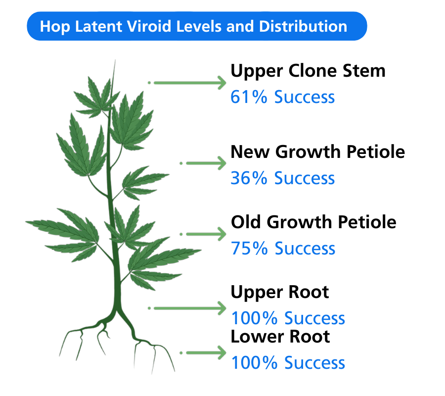 Everything You Need to Know about HLVd | TUMI Genomics