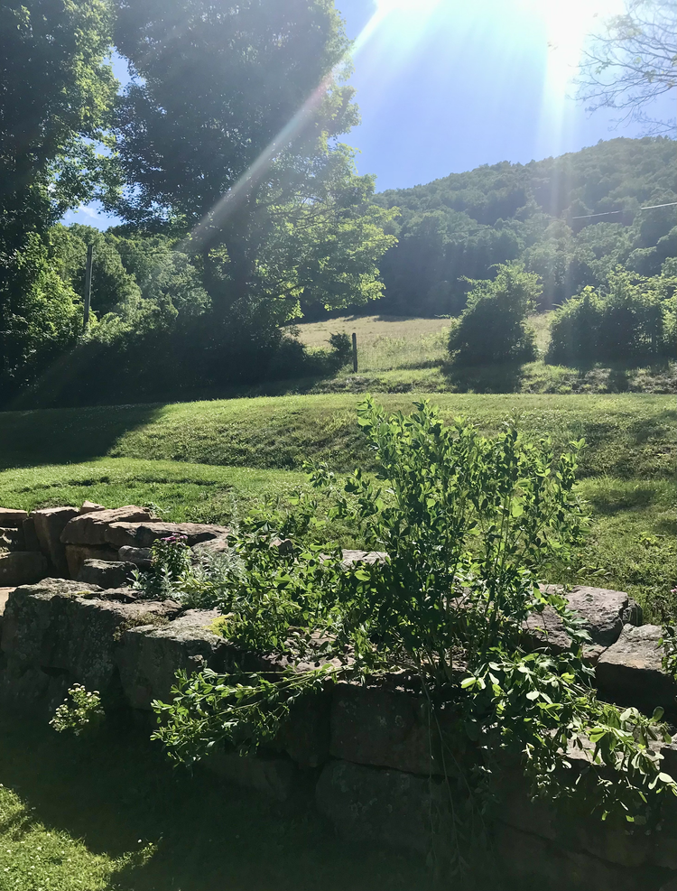 Garden Cottage - Book Your Stay — Warm Springs Gallery